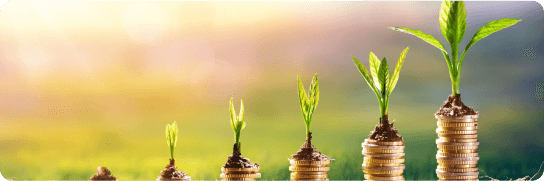 UTOF - Unit Trust of Fiji